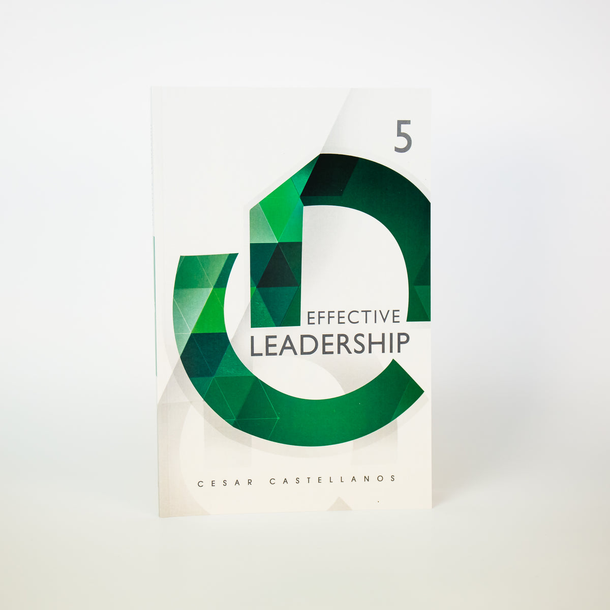 Effective Leadership, Module 5 - César Castellanos (English) Paperback ...